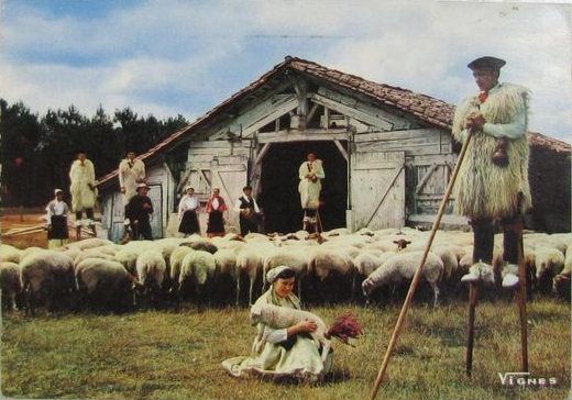 ‘Tchangues’ or mobile Shepherds on stilts – Wool Alliance for Social Agency