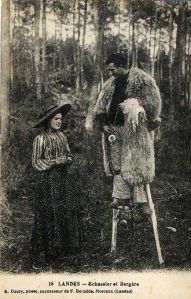 ‘Tchangues’ or mobile Shepherds on stilts – Wool Alliance for Social Agency