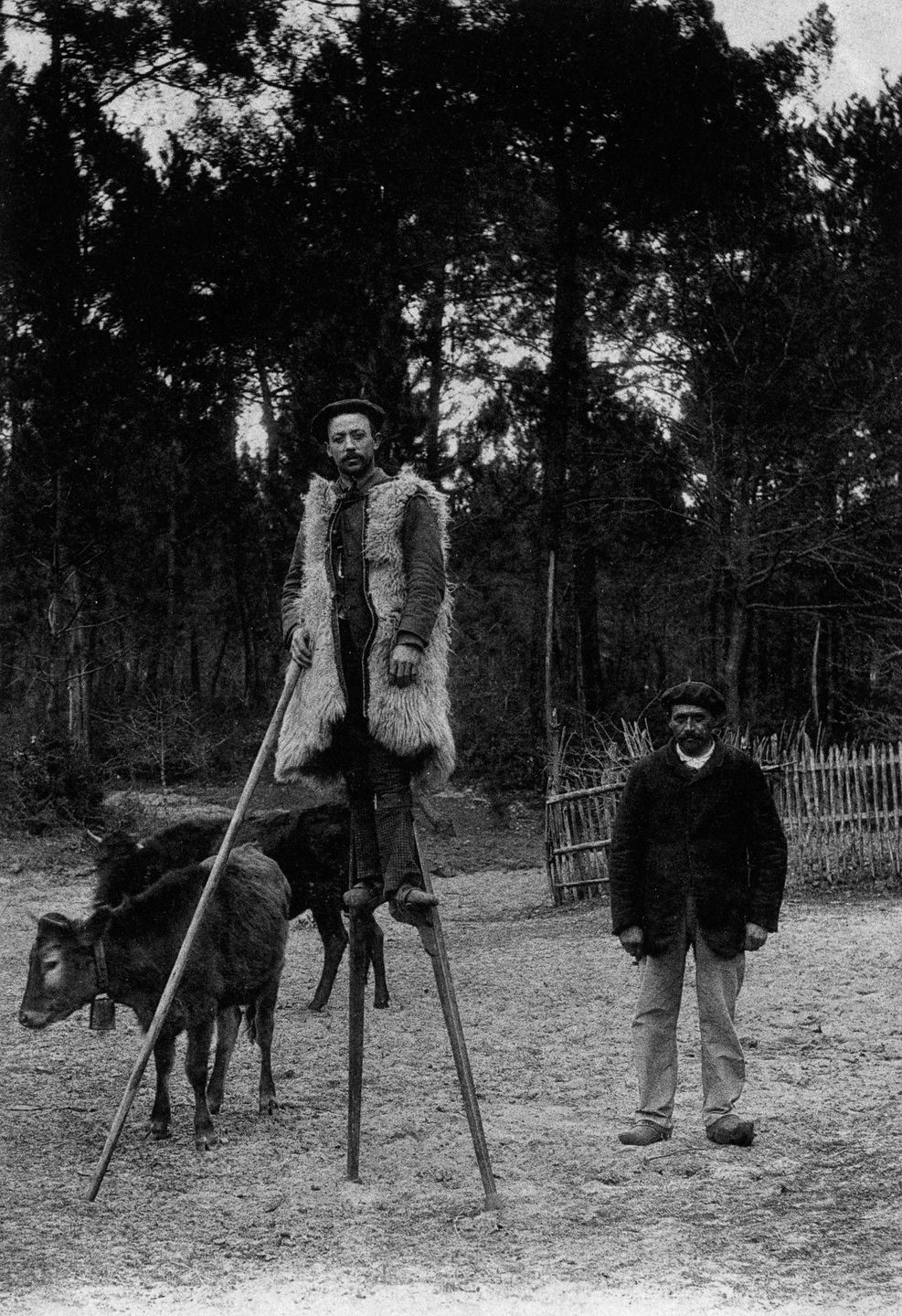 ‘Tchangues’ or mobile Shepherds on stilts – Wool Alliance for Social Agency